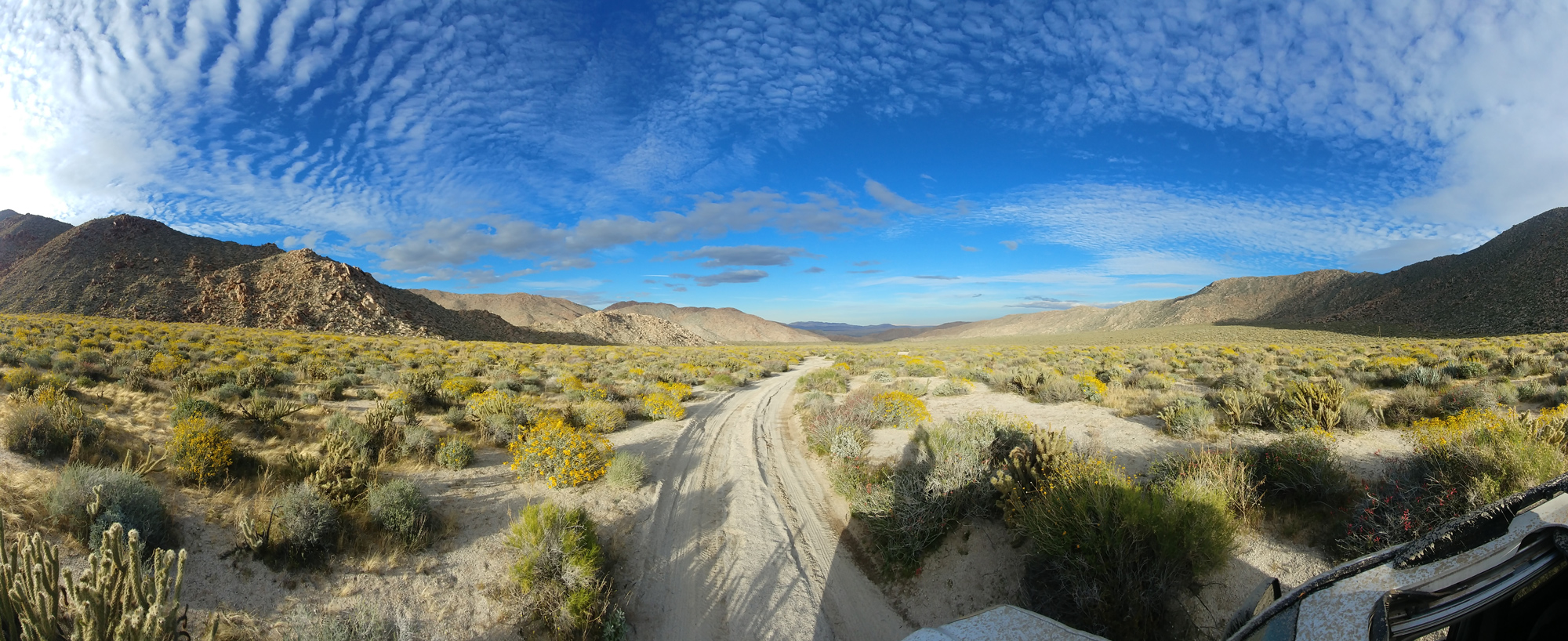 Contact Hatchworks Studio