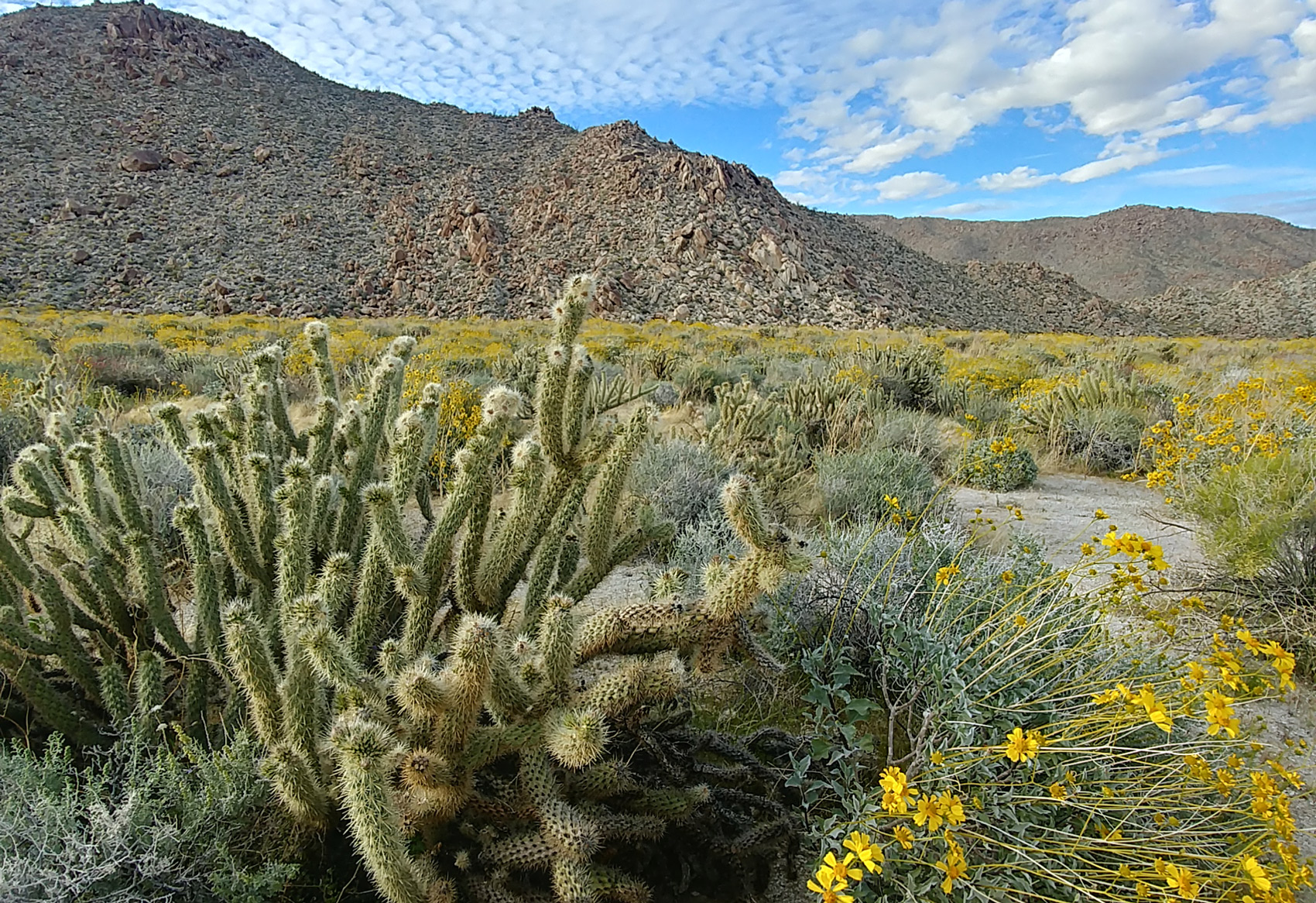 Work Hatchworks Studio